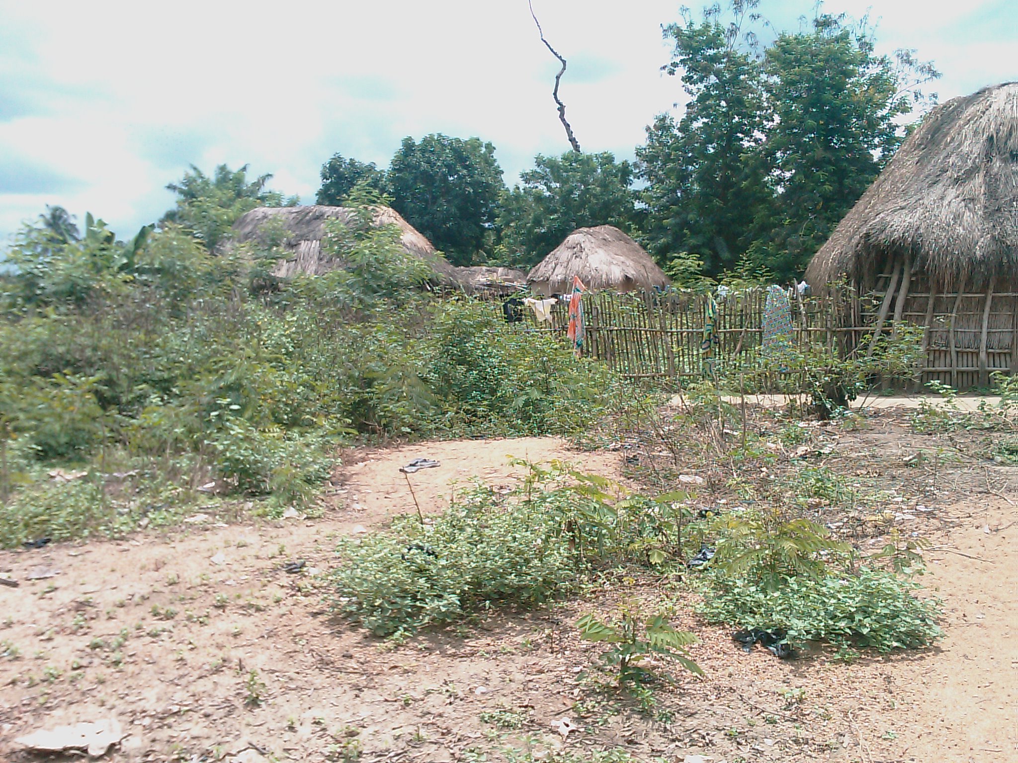 4e séjour au Bénin - Voyages Tropicaux